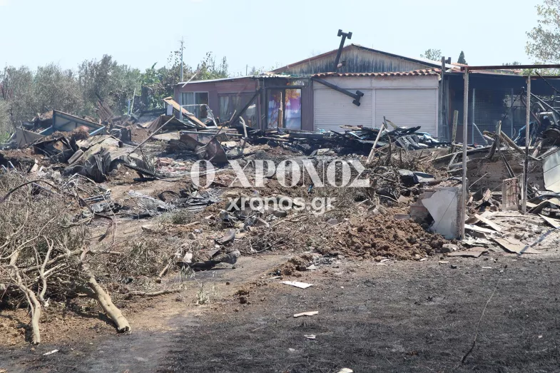 Δασική πυρκαγιά στα Αμπελάκια | xronos.gr