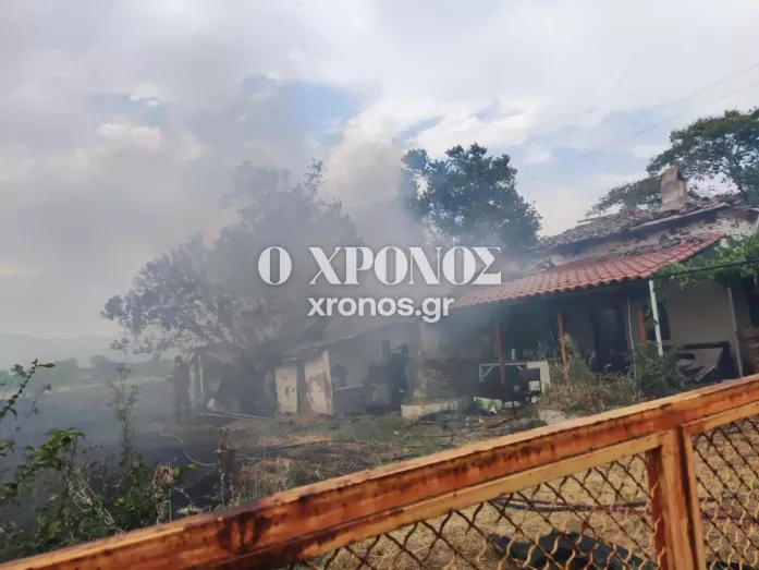 Κομοτηνή: Φωτιά σε χωράφια – κάηκε αποθήκη | xronos.gr