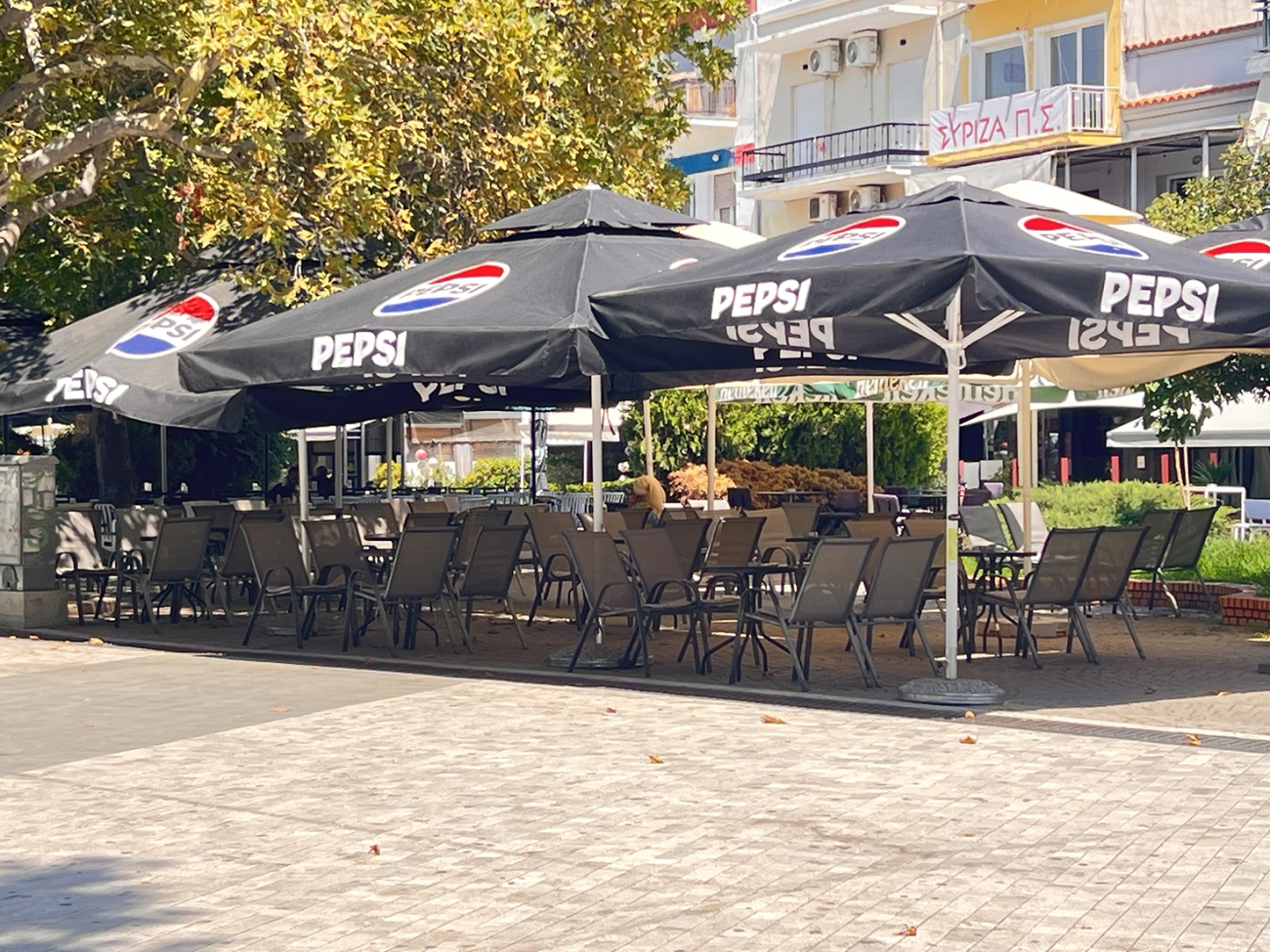 Σπ. Θυμικιώτης: Η Κομοτηνή δεν είναι στα καλύτερά της | xronos.gr