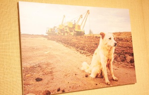 Ο TAP σε ...εικόνες | xronos.gr